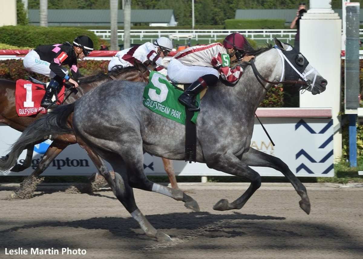 'Heading The Right Way': Marconi Breaks Through In Skip Away - Paulick ...