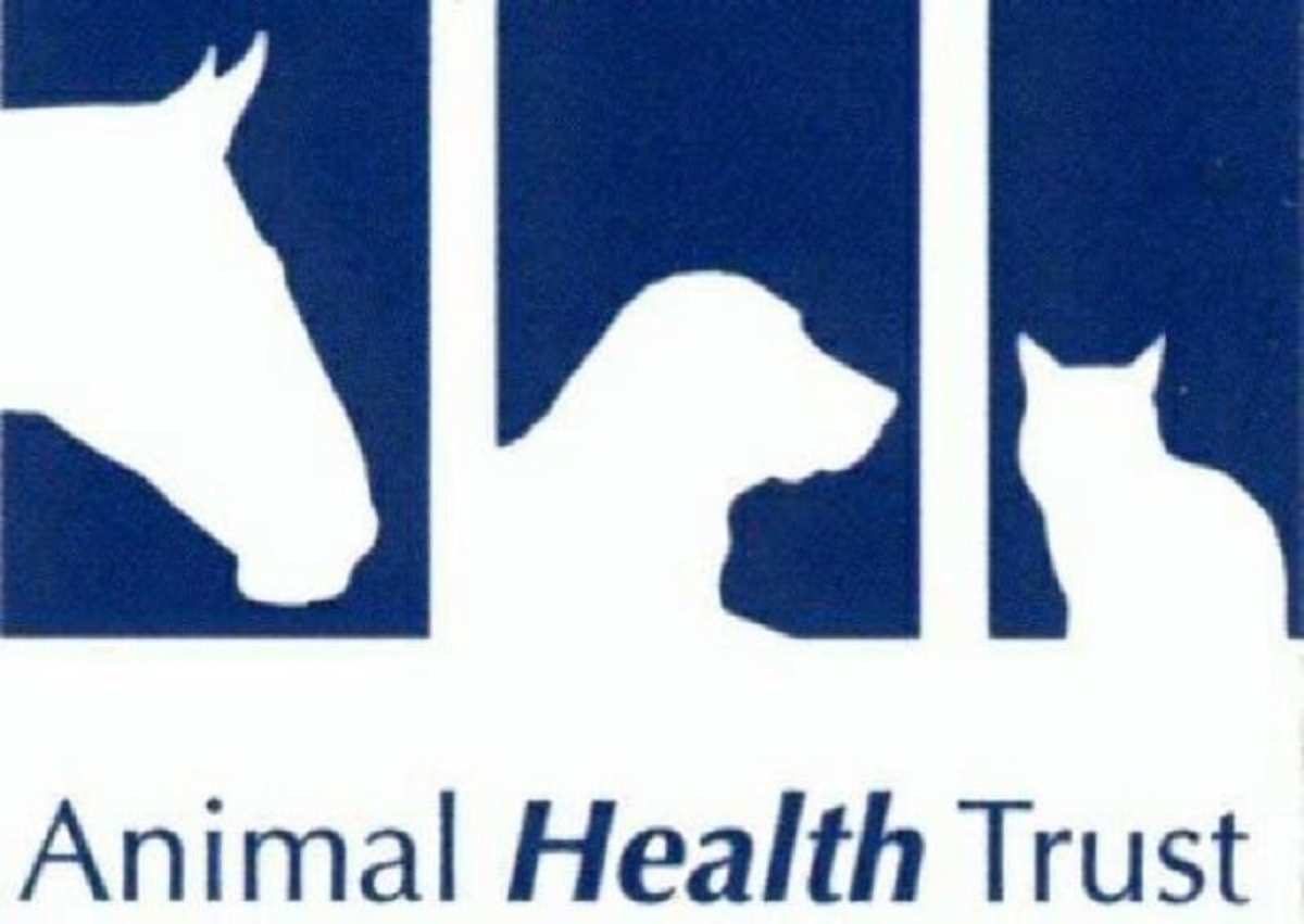 What Is The Animal Health Trust at Dean Ransford blog