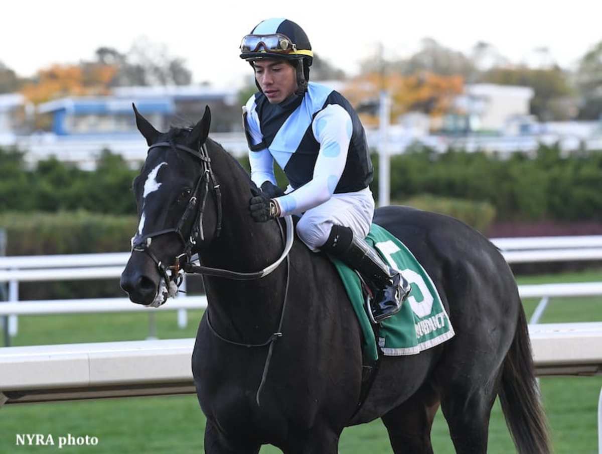 Juvenile Standout Independence Hall No Longer Targeting Remsen ...