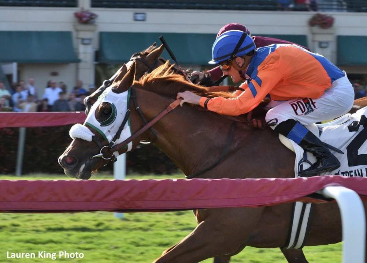 Dr. Edgar Noses Out Hawkish In Appleton - Paulick Report | Latest news ...