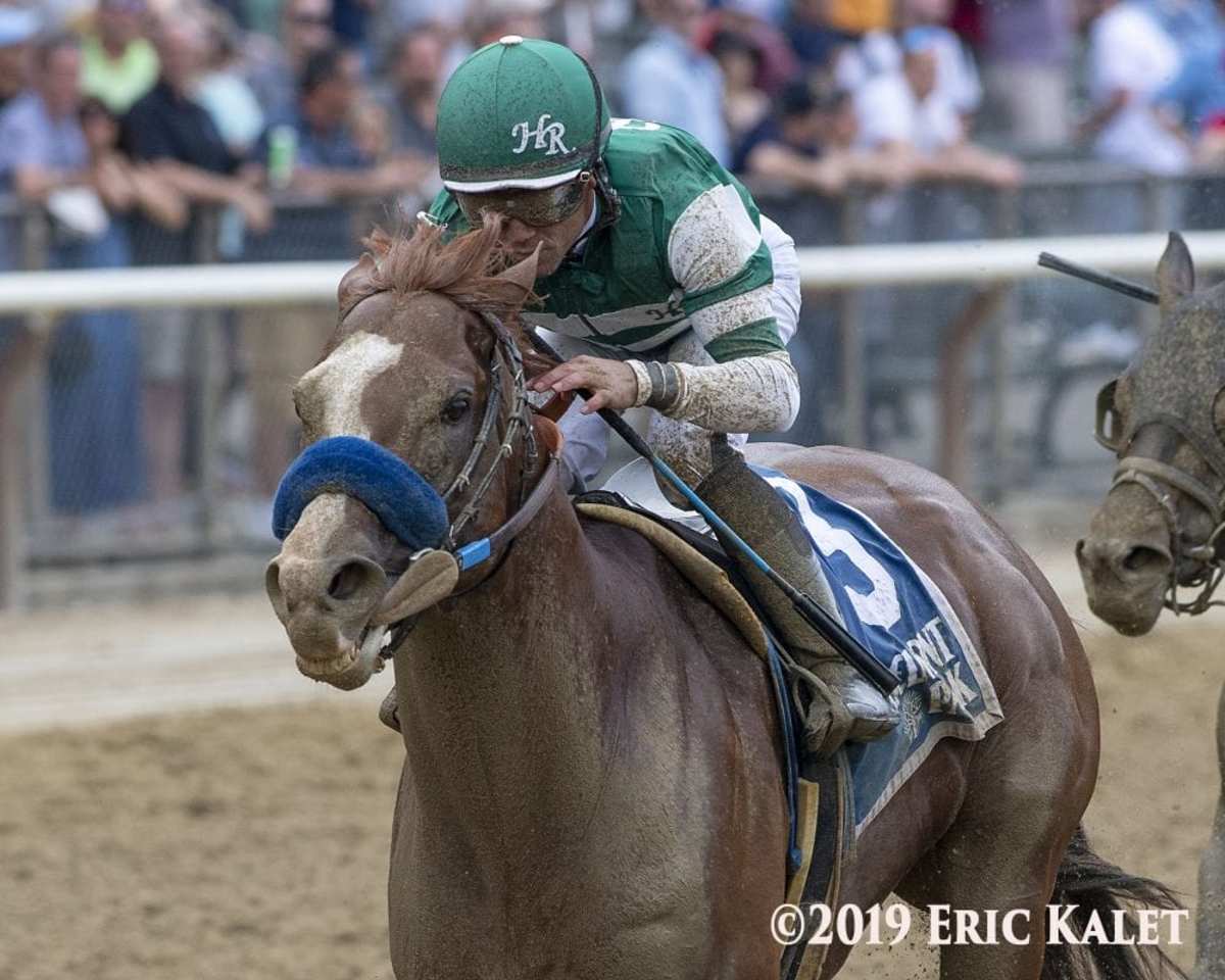 Bloodlines: A First Look At New 2020 Sires Catalina Cruiser, Yoshida ...