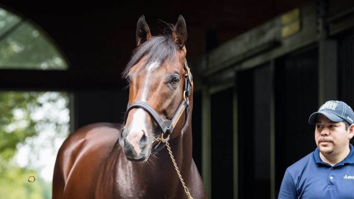 Champion Classic Empire Sold To Stand In Korea - Paulick Report ...