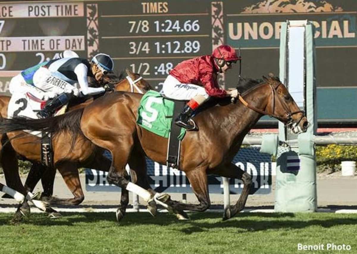 True Valour To Stand At Northview Stallion Station In Maryland ...