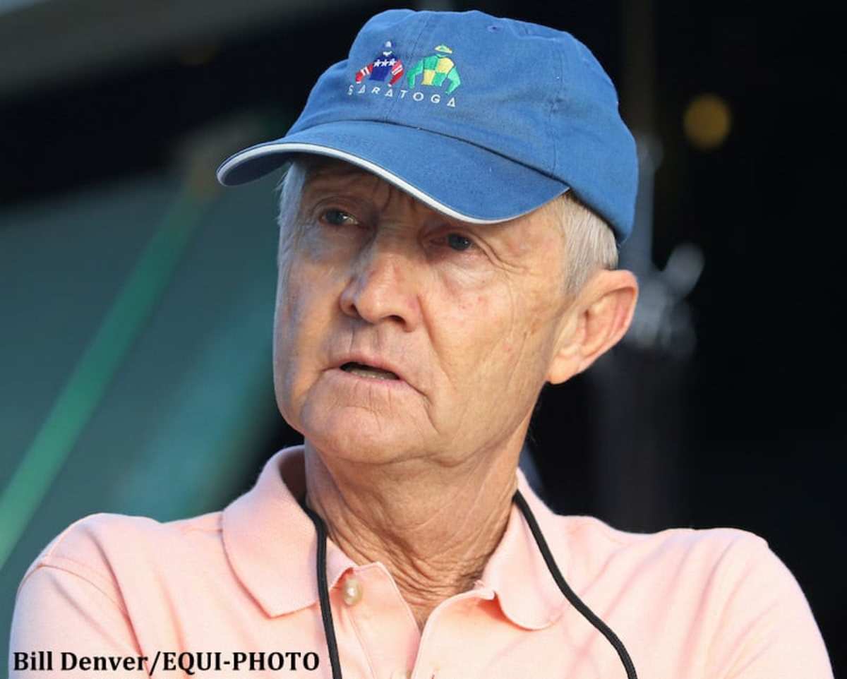 Servis Stars Could Shine In Saratoga This Season - Paulick Report ...