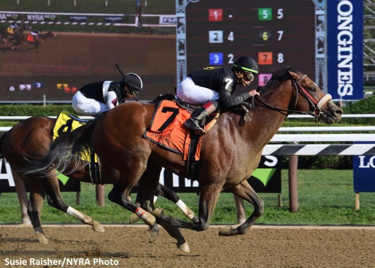 'I Should Be Able To Train Again': Indicted Trainer Tannuzzo Claims ...