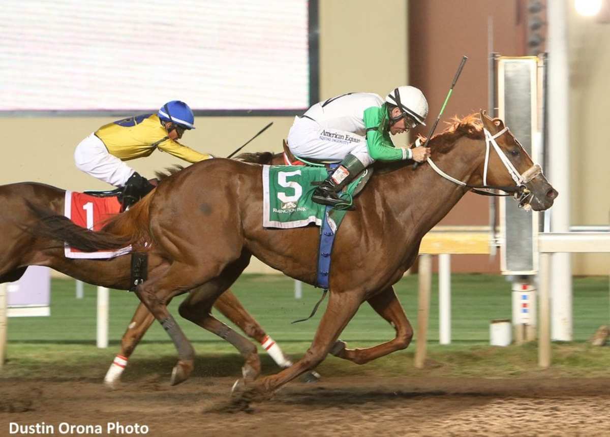 Mocito Rojo Kicks Off Opening Night Of Remington Thoroughbred Season ...