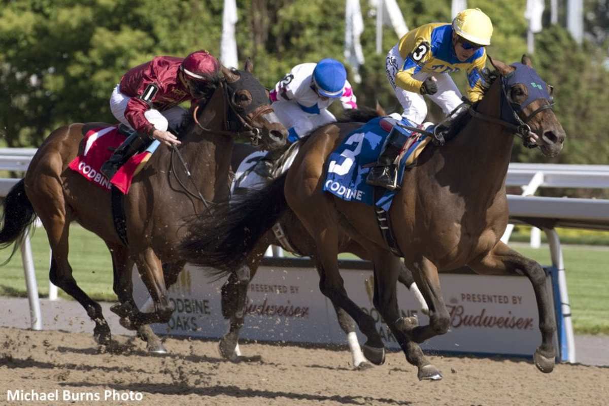 Pay For Peace Posts 19-1 Upset In Plate Trial - Paulick Report | Latest ...