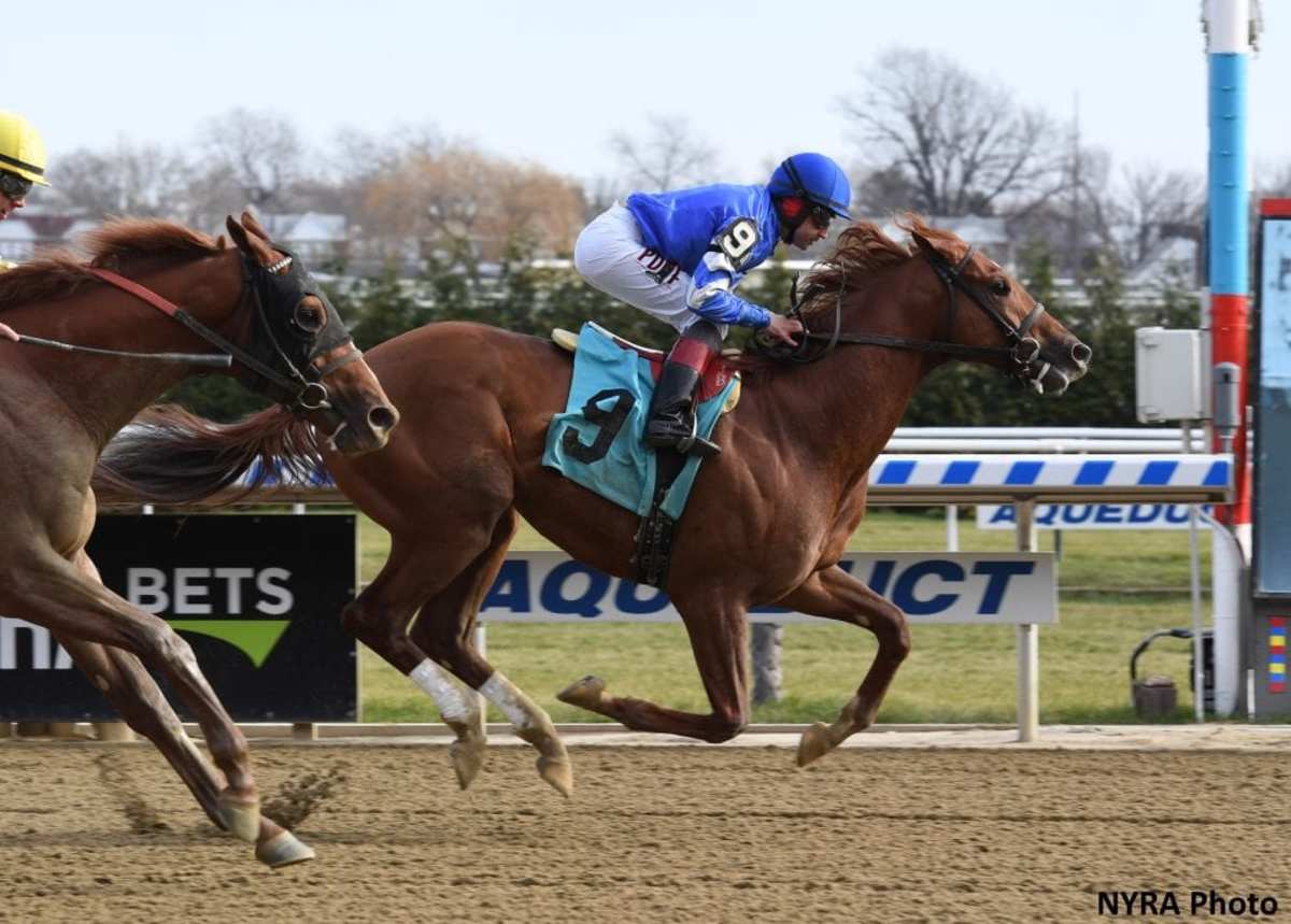 Davis Runner-Up Kentucky Wildcat Off Derby Trail With Condylar Fracture ...