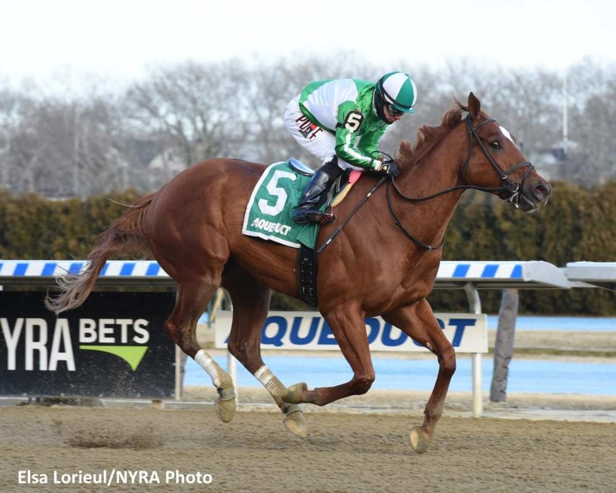 Mr. Buff Boosts Win Streak To Four In Jazil - Paulick Report | Latest ...