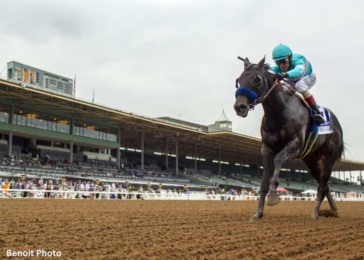 Eight Rings Delivers In American Pharoah - Paulick Report | Latest news ...