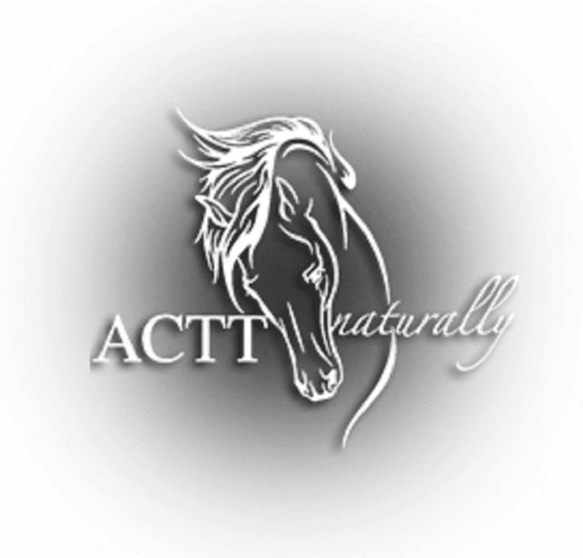 Program Uses Retired Racehorses To Help Teens Cope Thanks To Funding ...