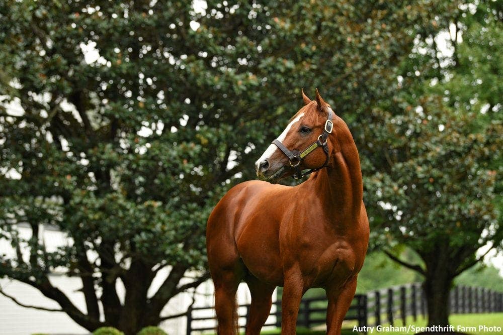 First Crop Snapshot: 'A Lot Of Consistency' In Lord Nelson's First ...