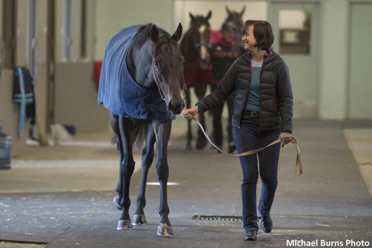 Canadian International News Minute: Who's The One To Beat? - Paulick ...