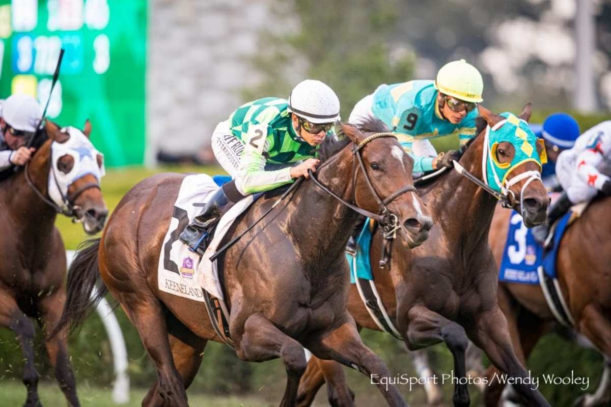 Ward Adds Another Filly To Breeders' Cup Juvenile Turf Sprint - Paulick ...