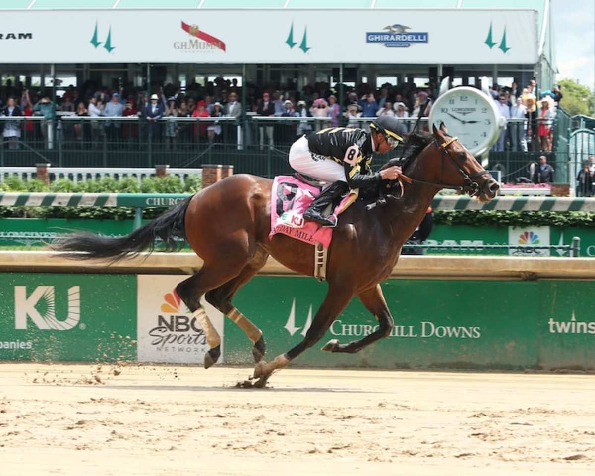 Now A One-Turn Horse, Wild Shot Is Freshened, Matured, Taking On G3 Mr ...