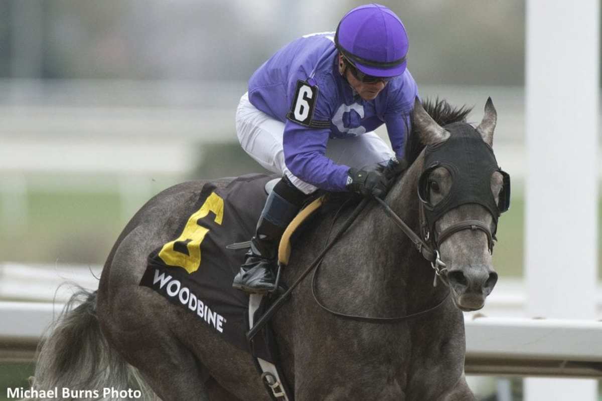 Out Of Retirement, Jockey Justin Stein Completes Sweep Of Woodbine's ...