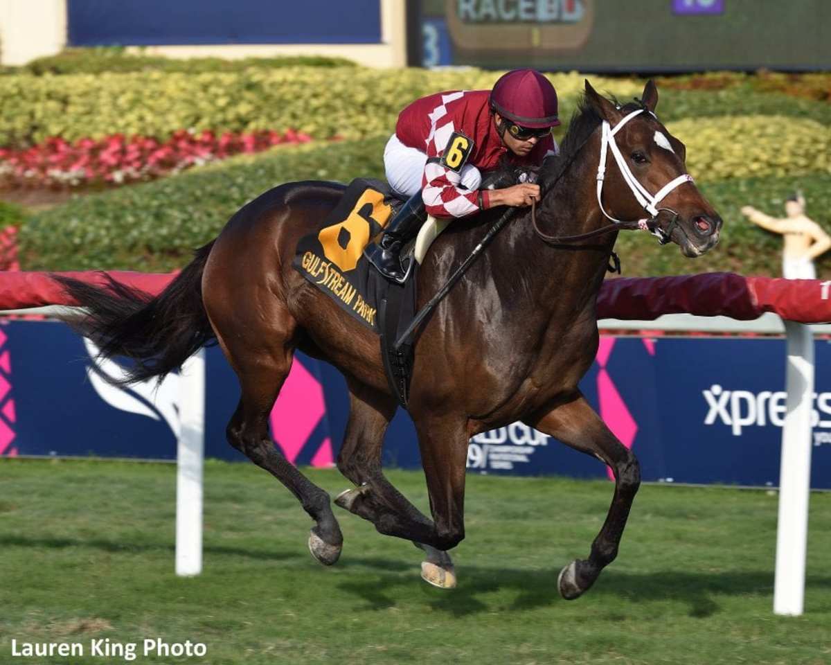 Out Of The 'Blu': Gentle Graded Stakes Winner Finds New Family Via ...