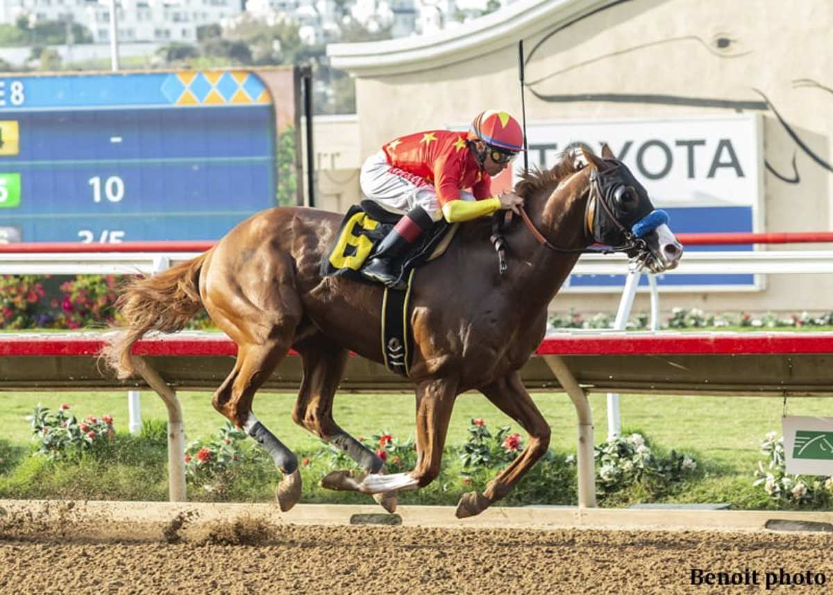 'His Class Carried Him'; Improbable Returns With Victory In Del Mar's ...