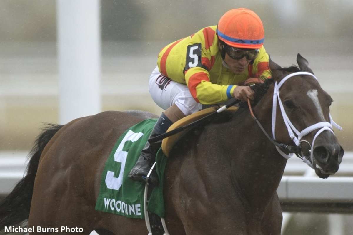 Shakopee Town Gives Attard First Stakes Win Of Woodbine Season In ...