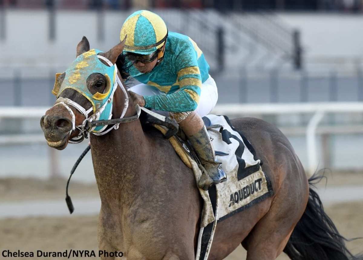 Do Share Carries Gutierrez To First Graded Win In Tom Fool - Paulick ...