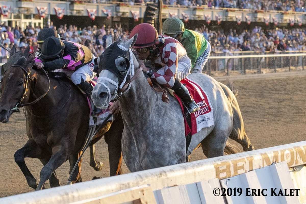 Grade 2 Winner Marconi To Enter Stud In Argentina - Paulick Report ...