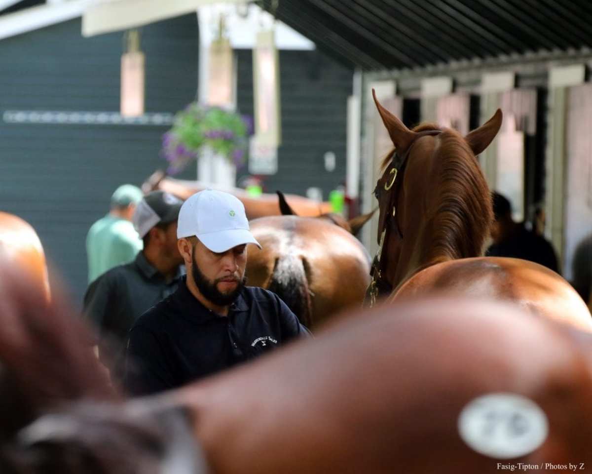 Speed Gene Test Goes Beyond Track Performance; Could Offer Clues On ...