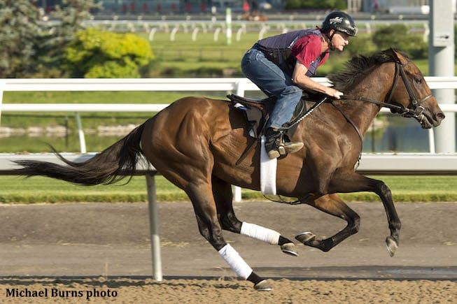 Favorite Avie's Flatter In Outside 14 Post For 160th Running Of Queen's ...