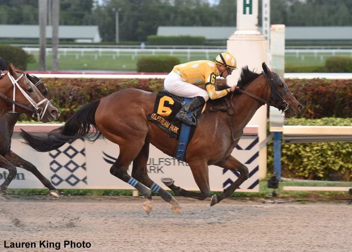 After Wicked Pace Duel, Diamond Oops Picks Up The Pieces In Mr ...