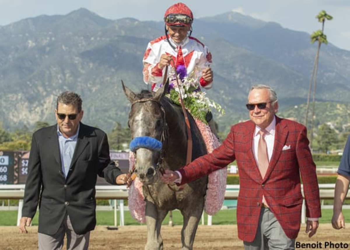 Ocala Stud Announces 2023 Stallion Roster And Fees - Paulick Report ...