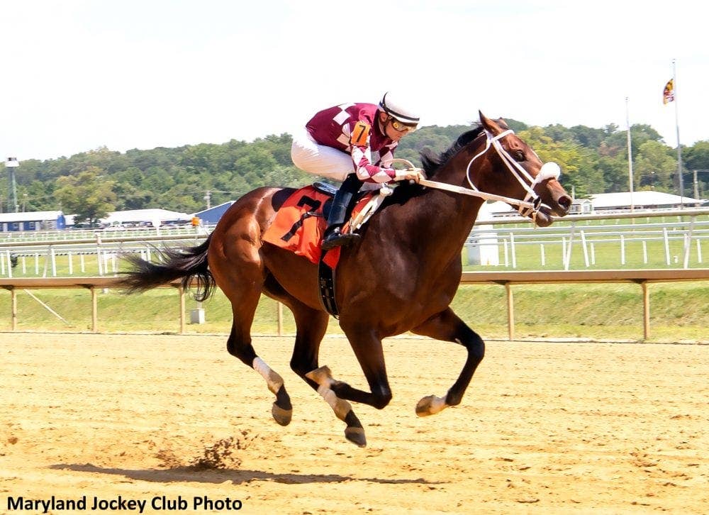 Super John Takes The Scenic Route To Impressive Maiden Win At Laurel ...