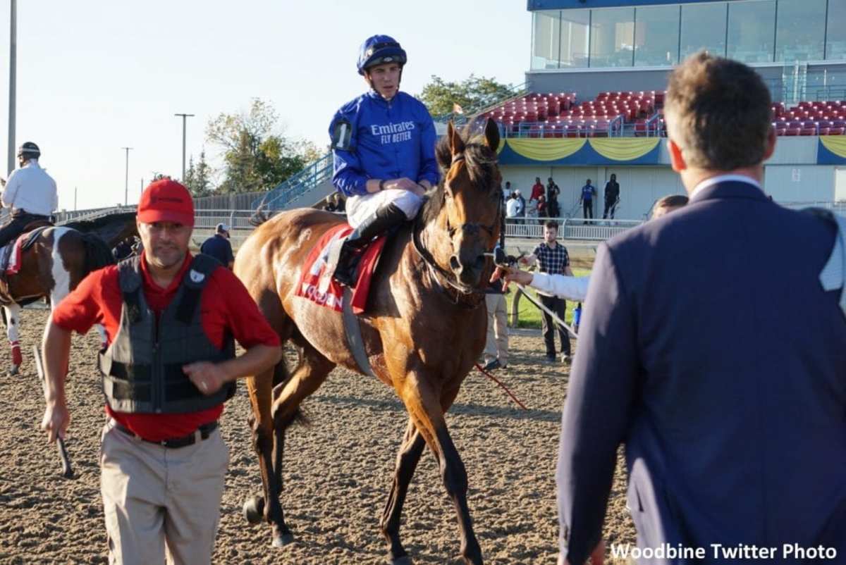 Turf Notes: Old Persian Ready For 'A Huge Race,' Brown 'Confident' In ...