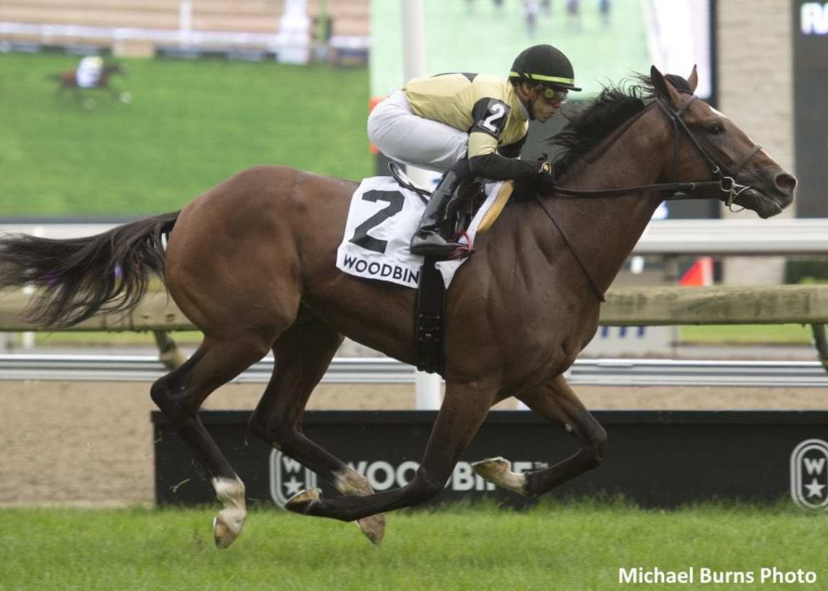 Decorated Invader Overcomes Slow Start To Win Summer Stakes - Paulick ...