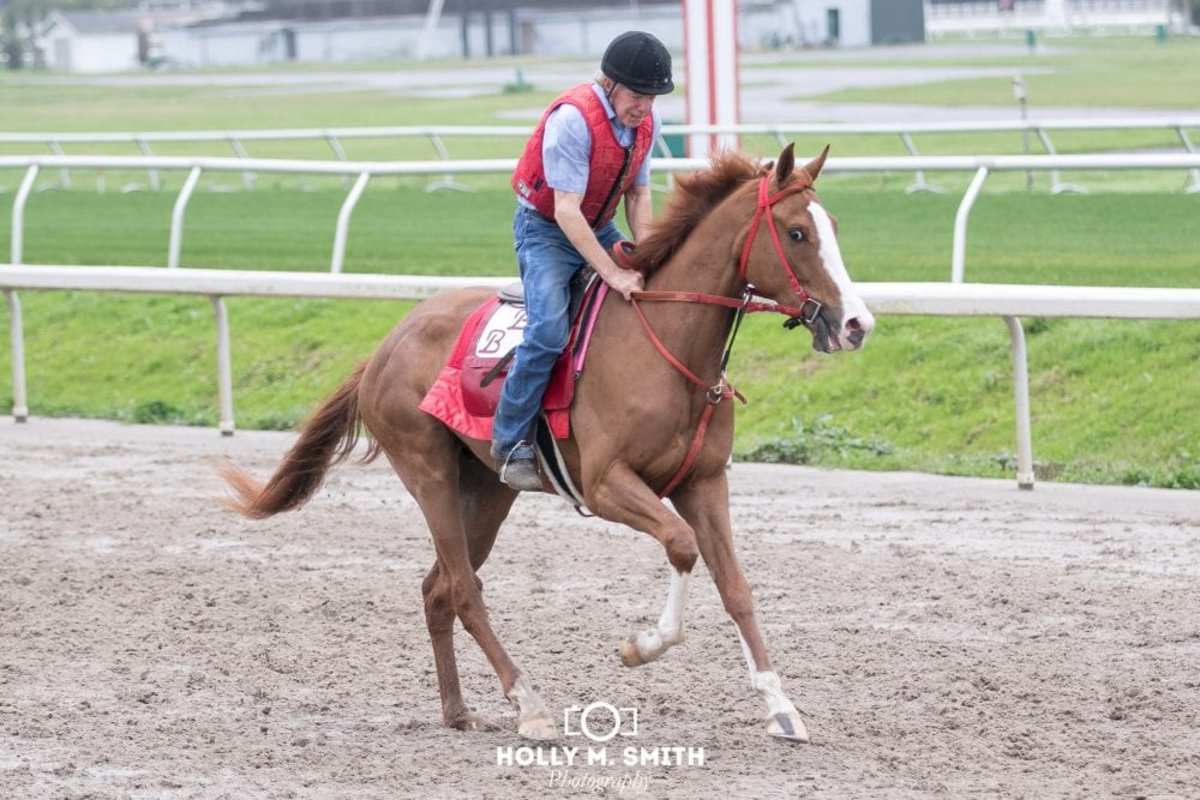 Crowder's Quiet Presence Makes Him 'One Of Those Masters Of A Wild ...