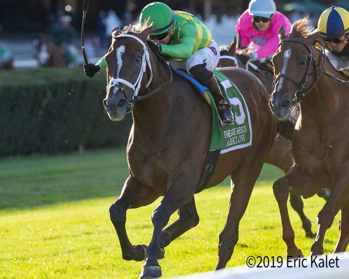 Donegal Racing: Arklow To Start In Pegasus World Cup Turf, Dubai Sheema ...