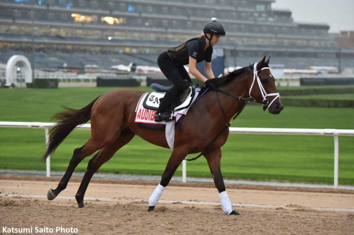 'A Highlight For Me': Exercise Rider Green Traveling The World With ...