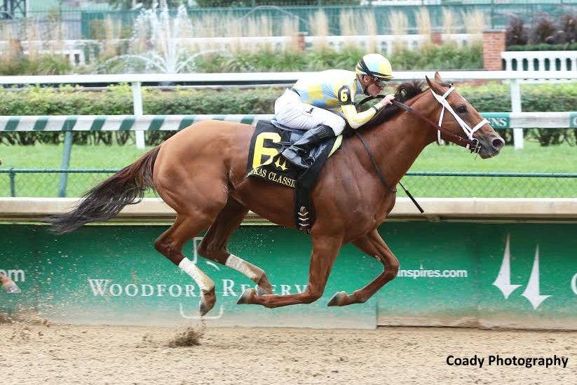 Noble Bird Wires Field In $175,000 Lukas Classic - Paulick Report ...