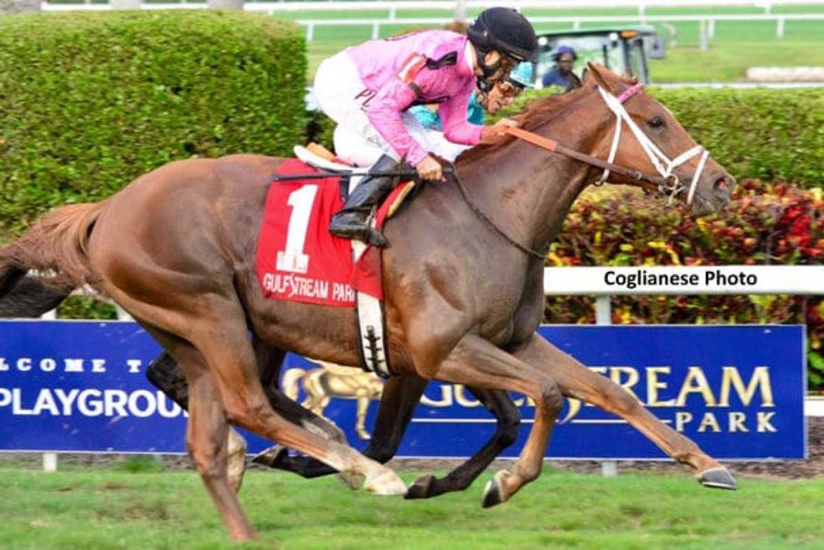 Kaigun Goes For Grade 1 Glory In Man o' War Stakes - Paulick Report ...