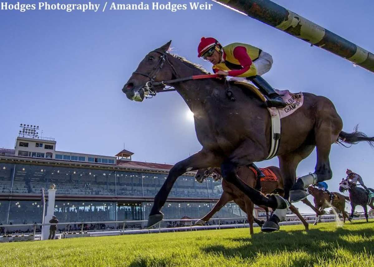 EHV-1: KY Dept. Of Agriculture Issues Revised Protocol For Horses ...