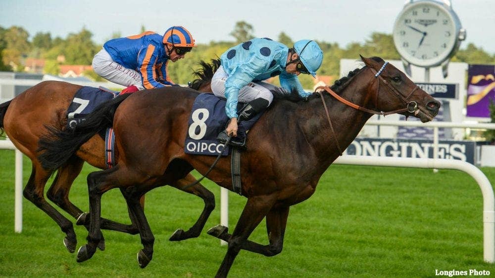 Bloodlines Presented By Editorial, A Climax Stallion: Future Looks ...