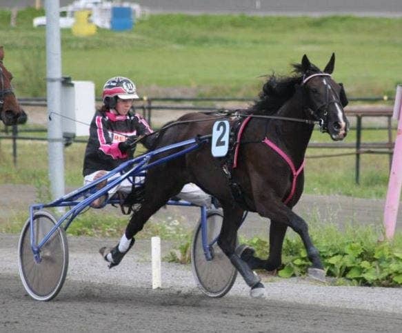 Swedish Racehorse Owner Opts To Eat Horse After Euthanasia - Paulick ...