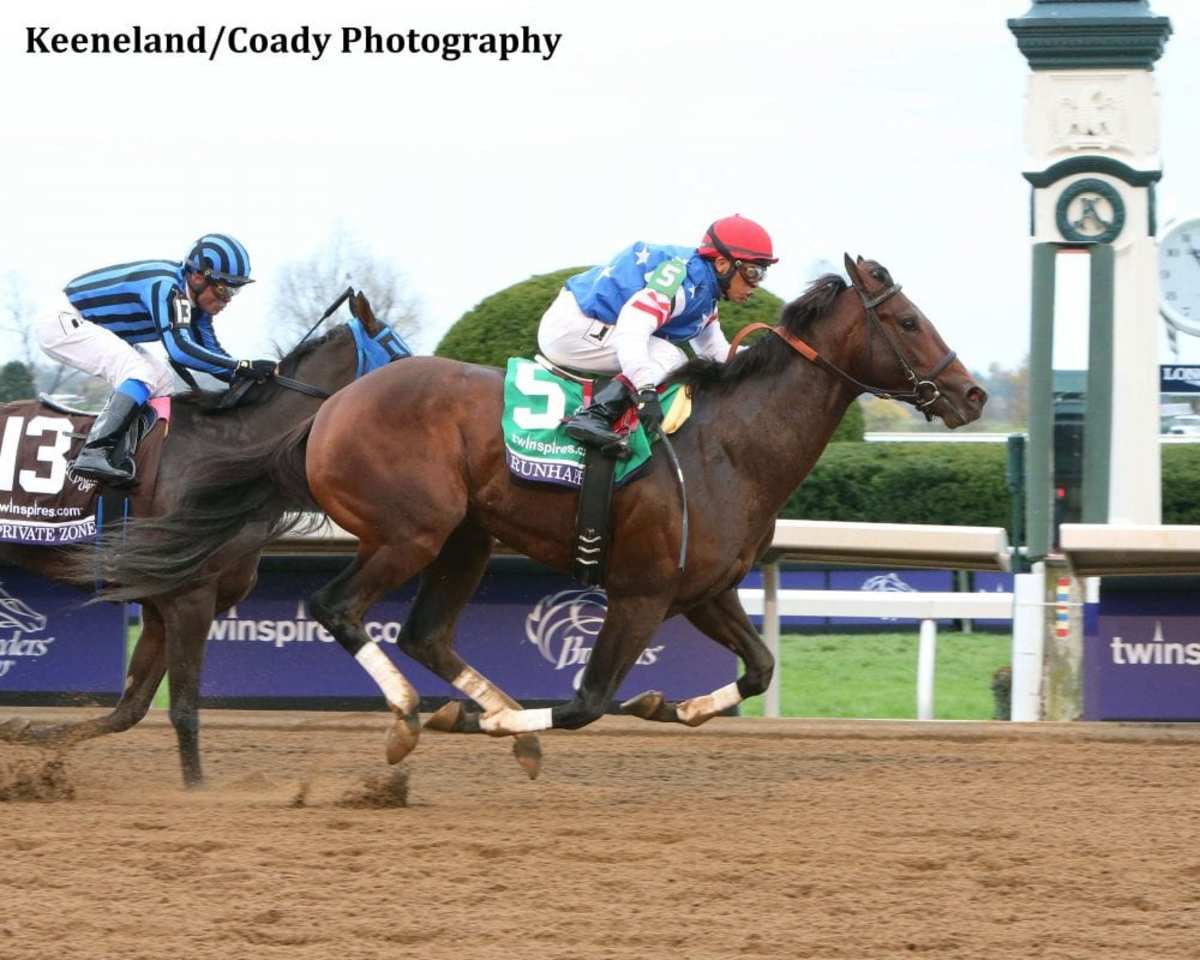 Runhappy's Breeders: $5,000 Claimer Foals Breeders' Cup Champion ...