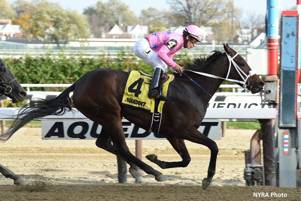 Miss Sky Warrior Wins Stakes Debut In Tempted - Paulick Report | Latest ...