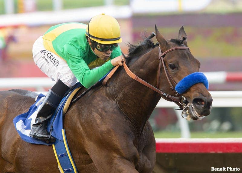 Mastery Recovering Well From San Felipe Injury, To Have Screws Removed ...
