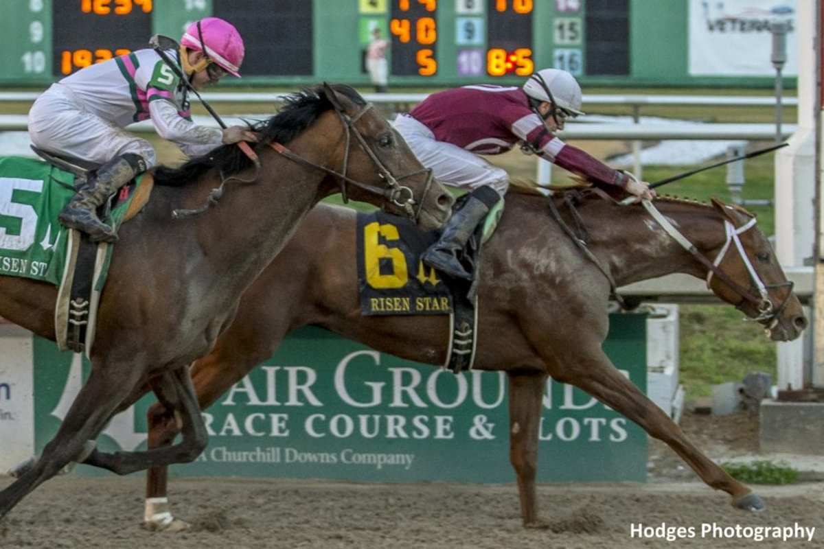 Asmussen 'Looking For Steady Progress' From Gun Runner - Paulick Report ...