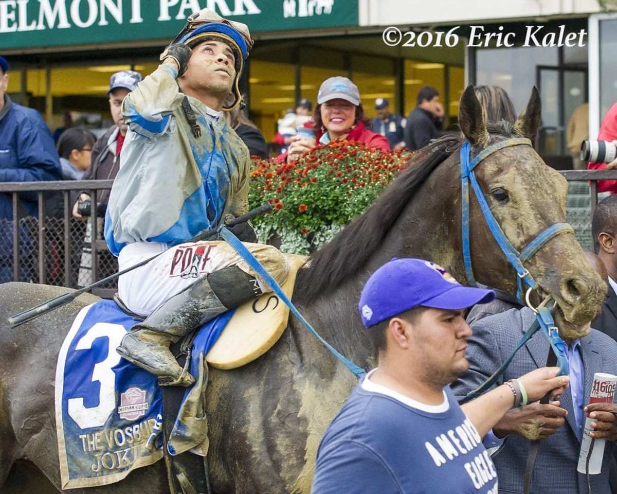 Joking Gets Back On Track For Friday's True North Stakes - Paulick ...