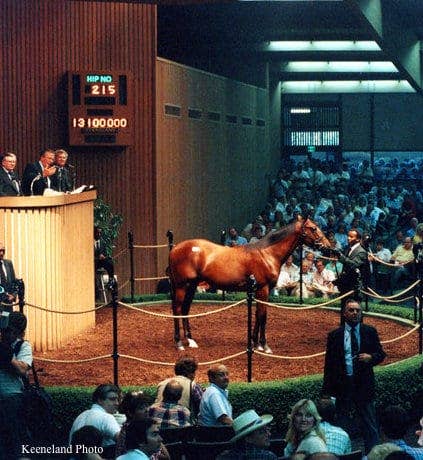 Back to the 80s: The Record-Setting Yearling - Paulick Report | Latest ...