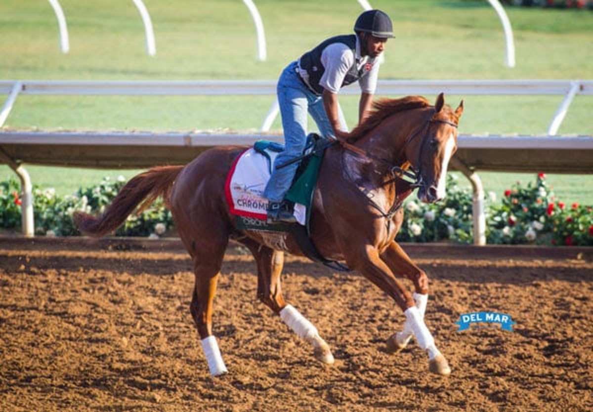 California Chrome Cruises In Six-Furlong Work At Los Alamitos - Paulick ...