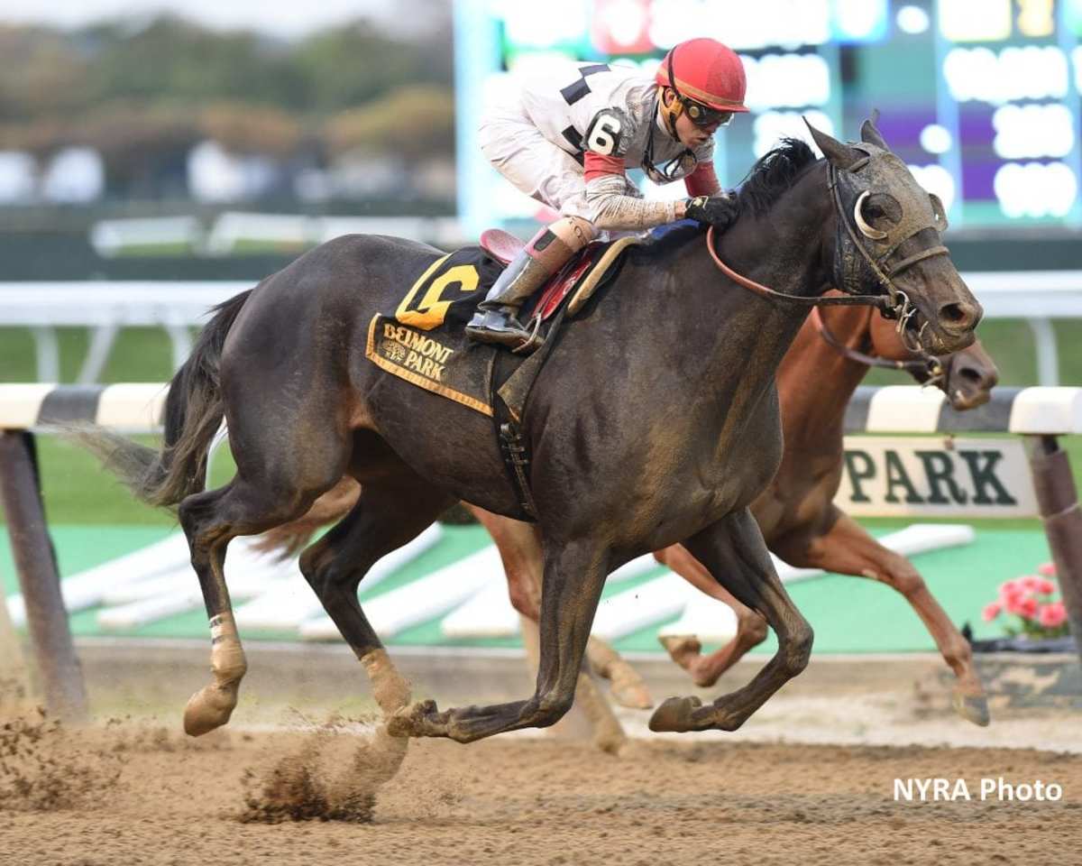Stallwalkin' Dude Takes His Third Tale Of The Cat Stakes - Paulick ...