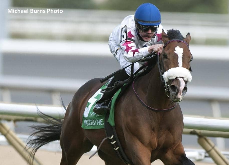 Caren Surpasses CDN$1 Million Mark With Carotene Victory - Paulick ...