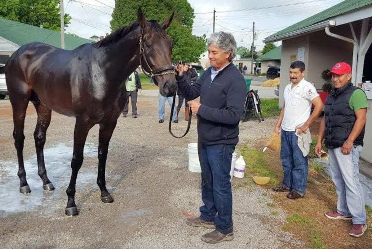 Breeders' Cup Presents Connections: Venezuelan Trainer Hopes Derby ...